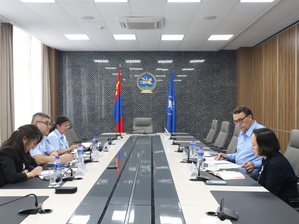 Гаалийн ерөнхий газар